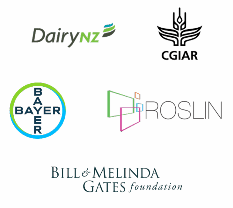 AbacusBio | International leader in genetic improvement